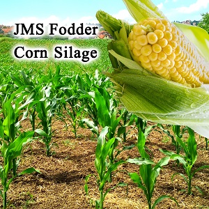 Japan Machinery Store | All Agri & Dairy Products